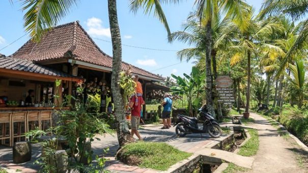 10 Best Things To Do In Ubud Bali - Let's Travel Family