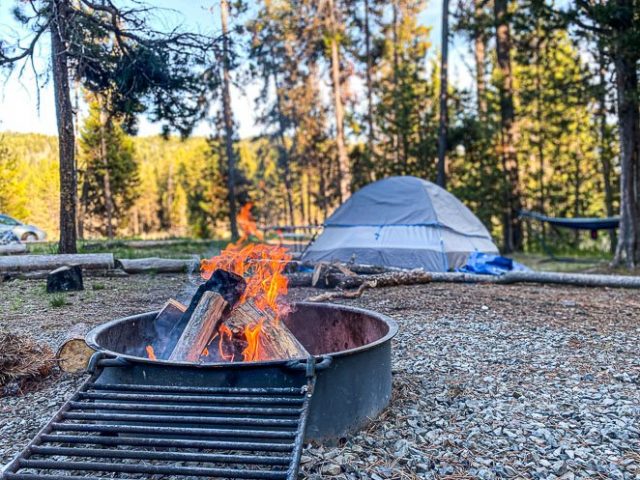13 Fun Camping Activities for Kids For A Fantastic Outdoor Experience