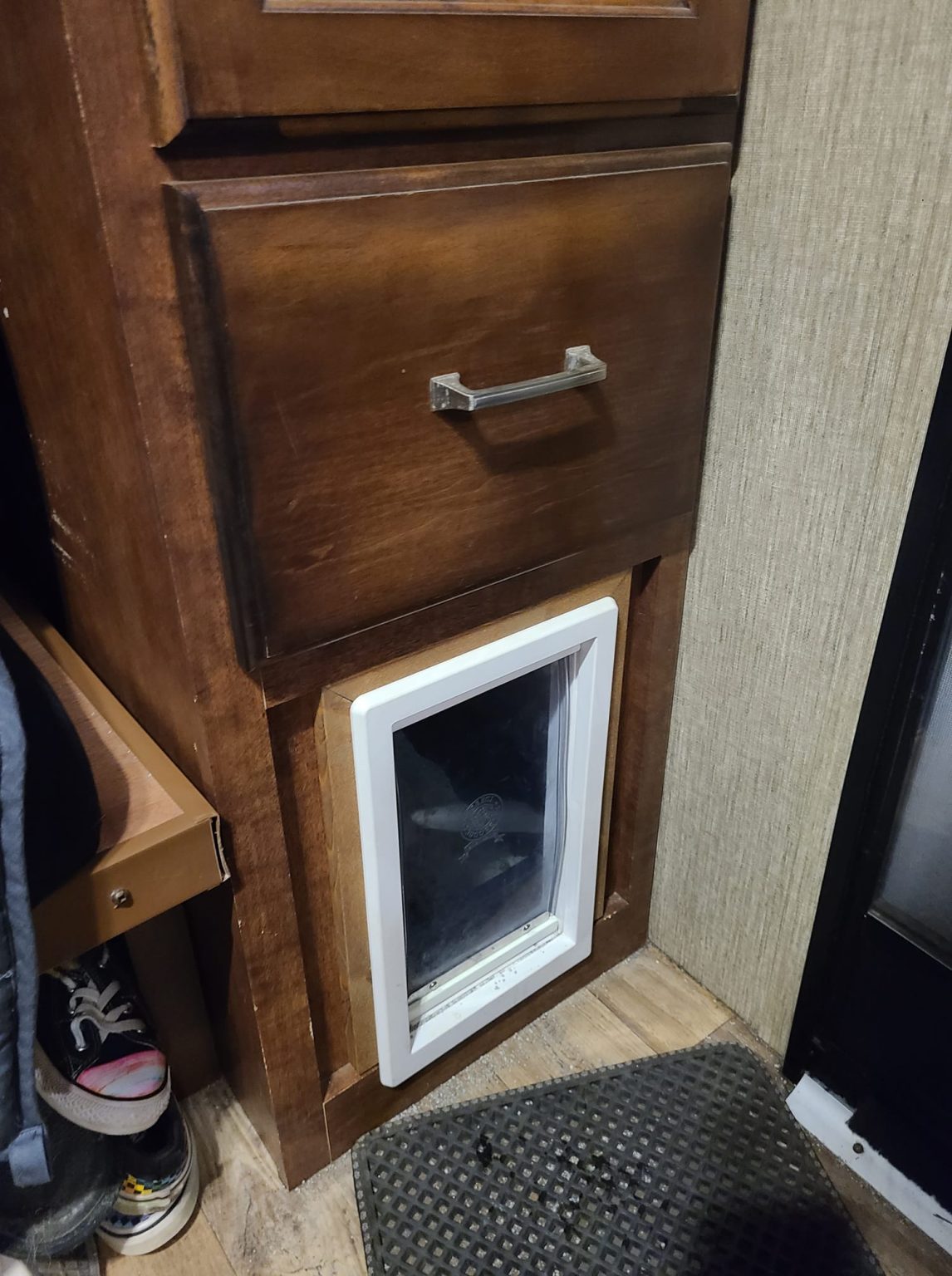 RVing with Cats: What To Prepare - Let's Travel Family