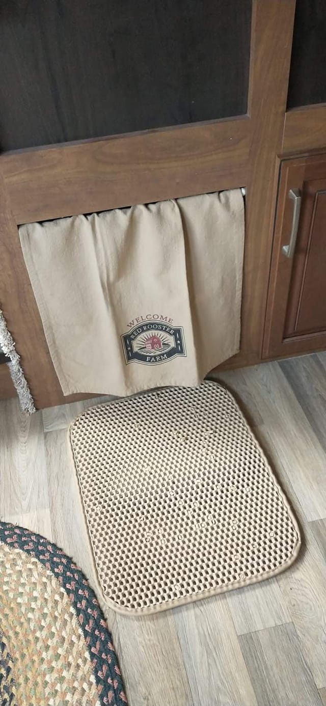 RVing with Cats: What To Prepare - Let's Travel Family